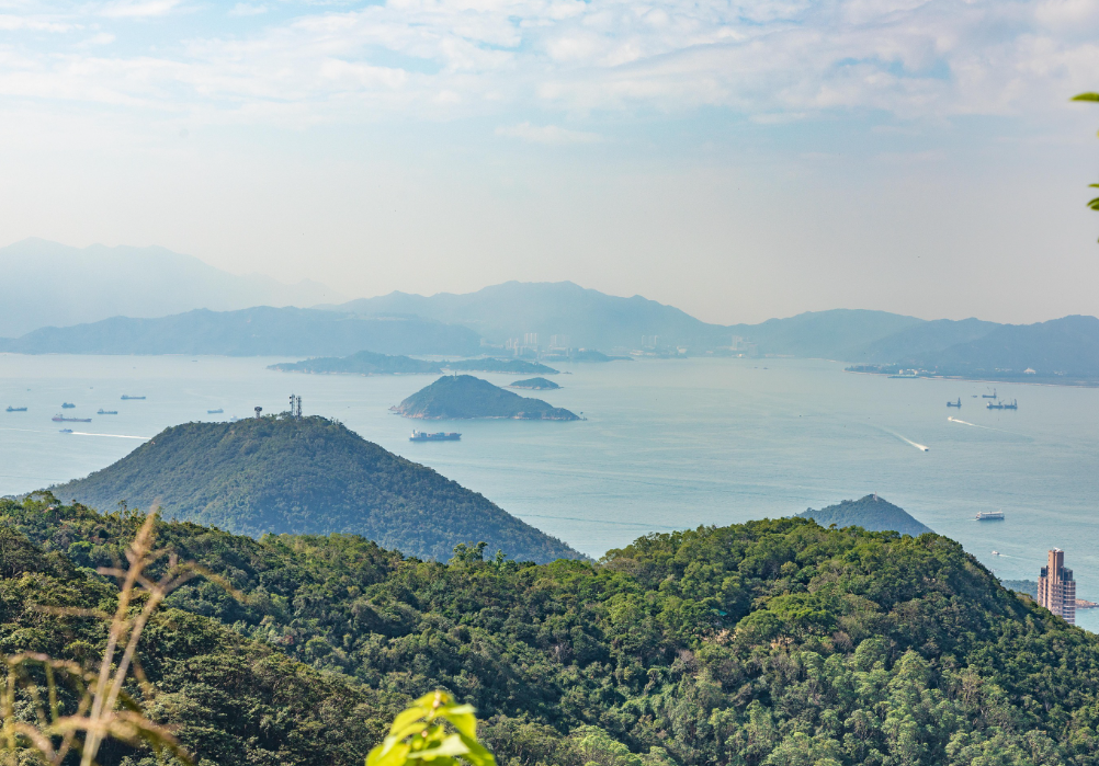 香港与大陆CRS税务信息互换解析 - ingstart-全球公司成立与合规