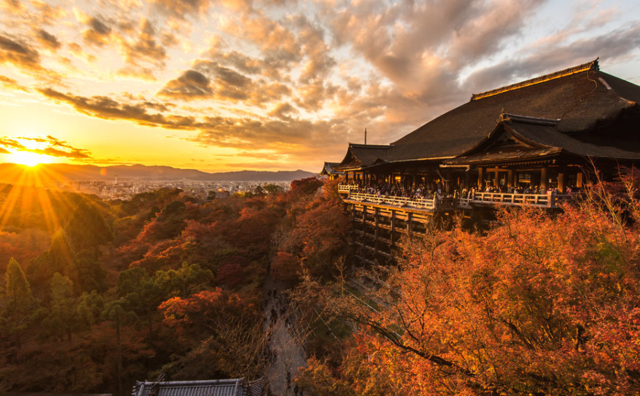 日本外资公司最常见类型：株式会社的深度解析 - ingstart-全球公司成立与合规