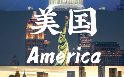 LLC vs. INC：2025年美国公司结构选择指南与中国投资者策略 - ingstart-全球公司成立与合规