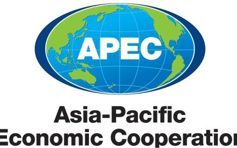 APEC商务旅行卡2025年最新申请指南：条件、流程与使用技巧 - ingstart-全球公司成立与合规