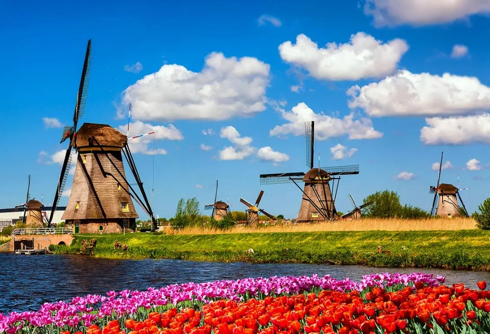 出海欧洲！ 2024注册荷兰公司：优势流程与后期维护 - ingstart-全球公司成立与合规