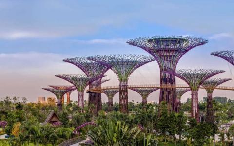 深度解析美国公司注册类型： LLC、Inc、LLP、S-Corp&C-Crop，选择最合适的实体类型 - ingstart-全球公司成立与合规