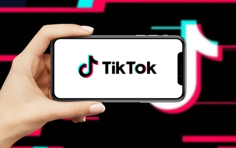 2025香港公司注册全攻略：16大关键问题解析与合规指南 - ingstart-全球公司成立与合规