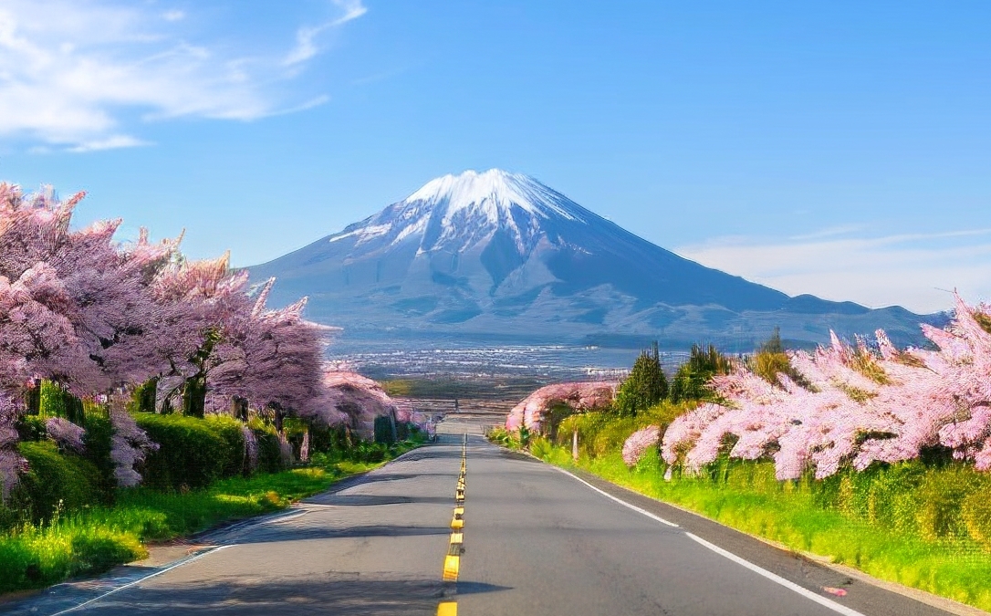 【干货分享】：2025年如何查询日本公司注册信息，降低商业风险 - ingstart-全球公司成立与合规