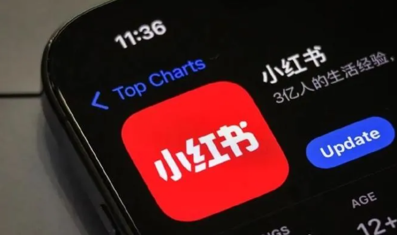 2025小红书跨境电商全攻略：内容种草+全链路服务突围海外，挑战与机遇深度拆解 - ingstart-全球公司成立与合规