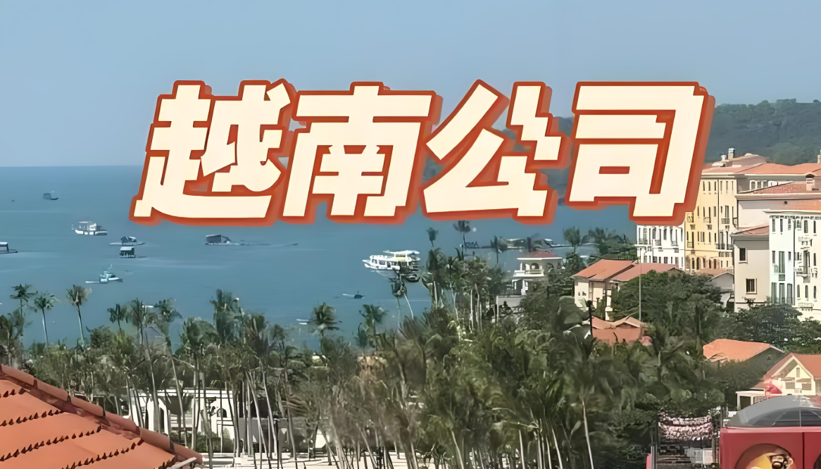 中越“友谊关”开启双向货运专用通道：跨境卖家迎来新红利与挑战 - ingstart-全球公司成立与合规