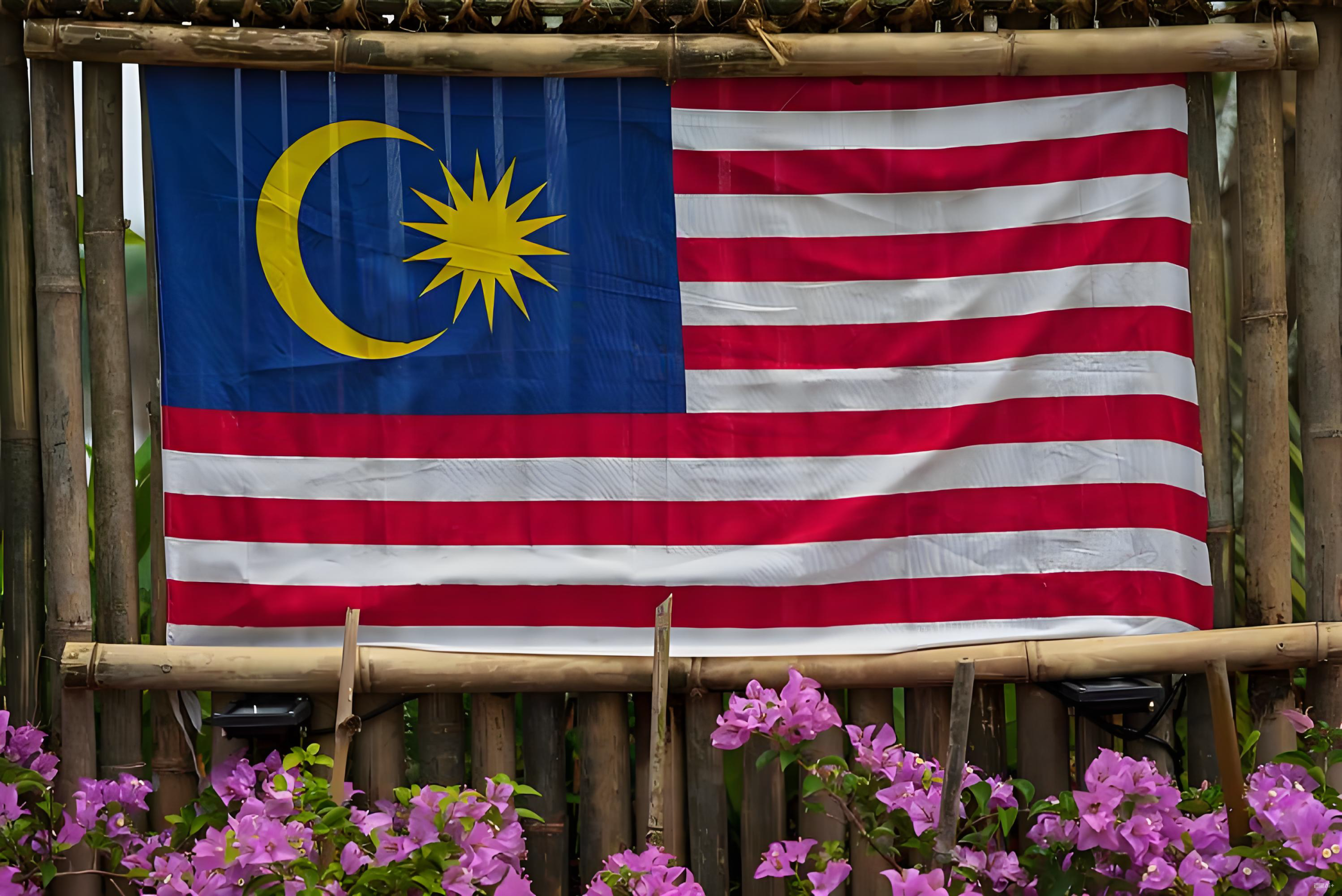 Shopee马来西亚物流网络整合计划全解析：政策协同、技术突破与未来展望 - ingstart-全球公司成立与合规